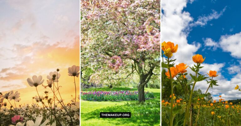 The Ultimate Spring Break Bucket List: 21 Fun & Unforgettable Ideas ...